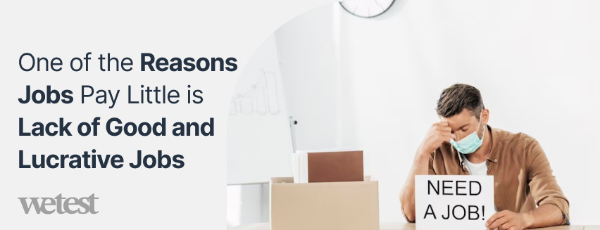 12 Reasons Why Jobs Pay So Little - We Test