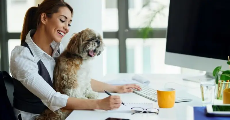 30 Awesome Employee Engagement Activities for Your Team - Wetest